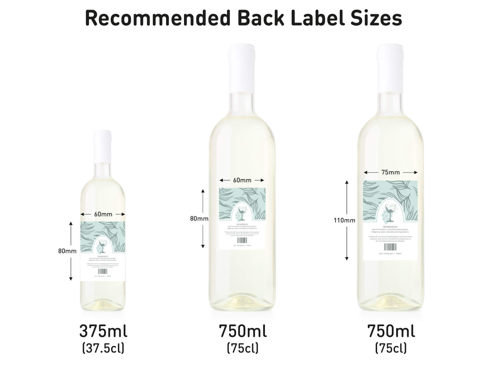 Wine Size Chart Guide To Wine Bottle Sizes